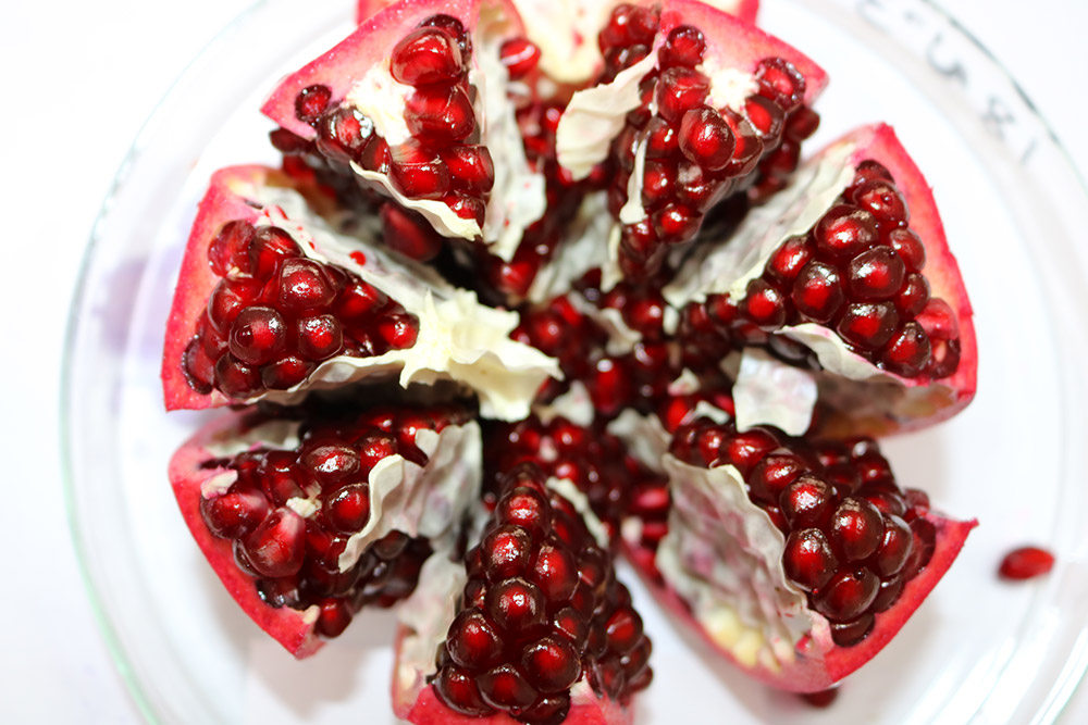 INRA : organisation d’un séminaire sur le grenadier - FOOD Magazine