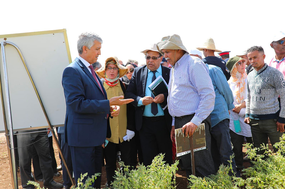 MAPMDREF : visite de la station de recherche de Marchouch de l’INRA et ...